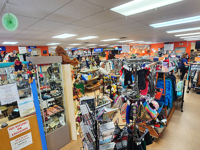Organized chaos at its finest! Every aisle tells a story, every shelf holds potential discoveries. It's like an archaeological dig where all the artifacts are from 1983.