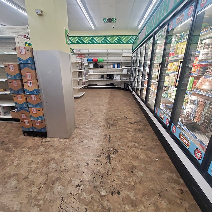 Fluorescent lights illuminate the promised land of affordable frozen goods. Even empty shelves hold the promise of treasures yet to come.