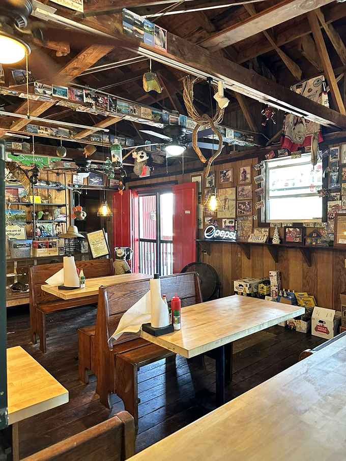 The wooden interior tells a thousand Florida tales, with every postcard, fishing trophy, and knickknack adding to the symphony of organized chaos that makes this place feel like home.