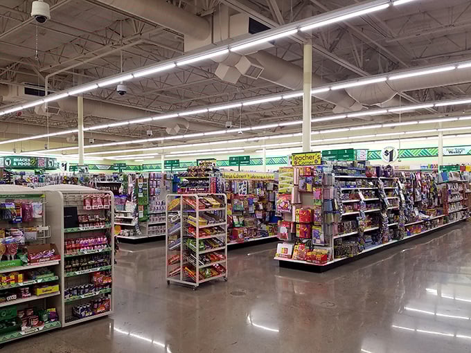 Aisles stretch toward infinity, a wonderland where every shelf promises treasure hunters the thrill of discovery.