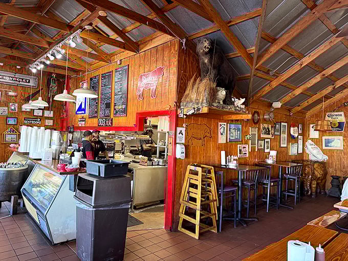 Step inside and the rustic wood-paneled interior tells you everything: this isn't corporate 'cue, it's the real deal, complete with that watchful bear keeping an eye on the proceedings.