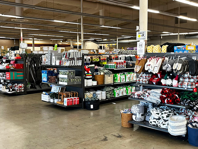 Aisles of possibility stretch before you like a bargain hunter's yellow brick road, each shelf a new adventure waiting.