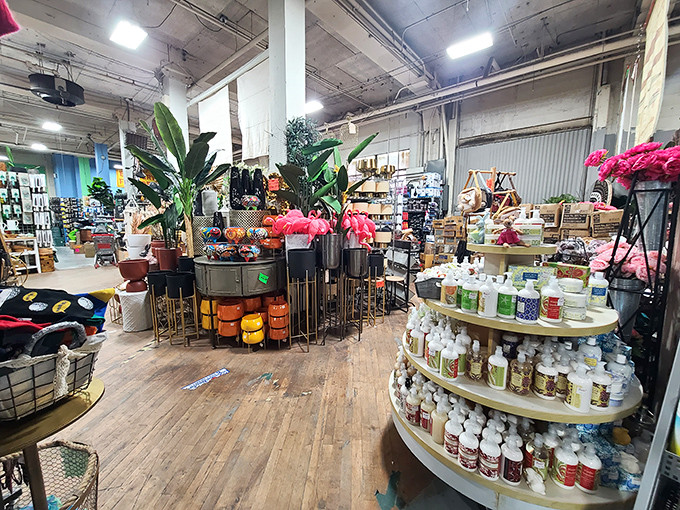 City Liquidators is a treasure hunter&rsquo;s dream&mdash;packed with quirky finds, home goods, and surprises around every corner!