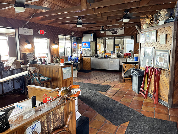 Where fishing tales grow taller with each visit. The rustic wooden interior feels like stepping into a beloved captain's cabin—nautical treasures included.
