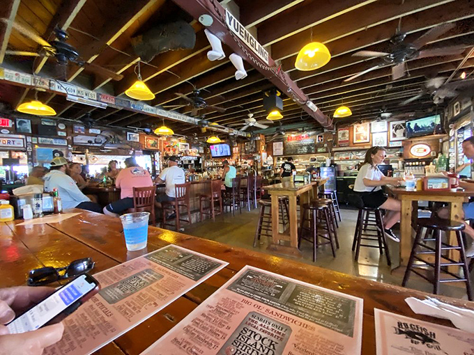 Inside, it's a museum of Florida Keys life where every license plate, fishing trophy, and weathered sign tells a story. The yellow pendant lights cast the perfect "fresh catch" glow.