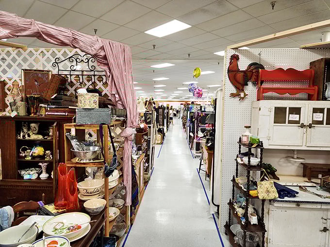 Down the rabbit hole you go! These endless aisles promise adventures where every turn reveals something your home suddenly "needs."