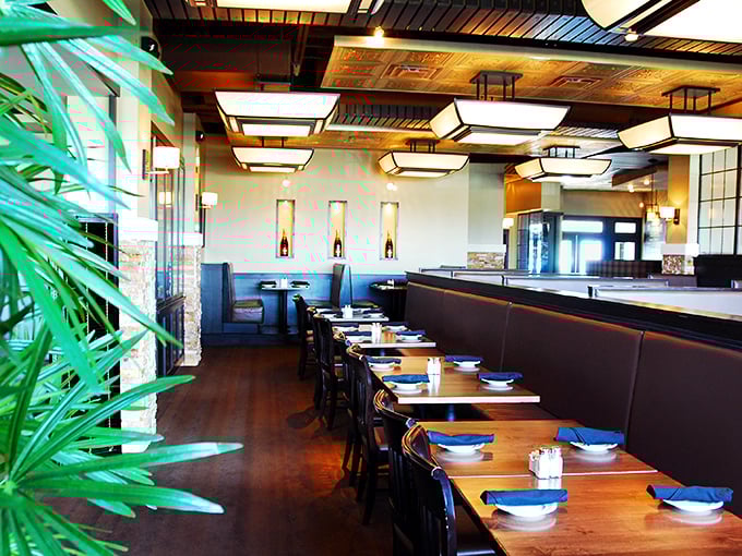 Where warm wood meets cool comfort - the interior's thoughtful lighting and spacious layout invite you to settle in for a meal worth savoring.