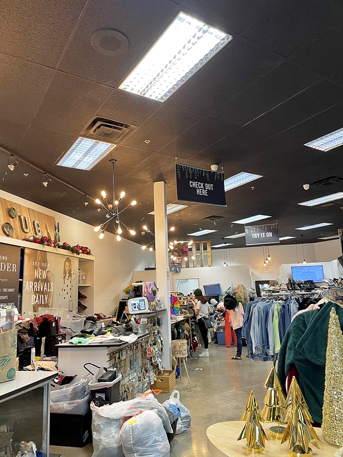 Modern lighting fixtures and organized displays prove this isn't your grandmother's thrift shop &ndash; it's where budget-friendly meets Instagram-worthy.