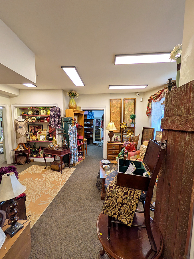 Vintage charm meets meticulous organization in these carefully curated aisles where each item tells its own story.