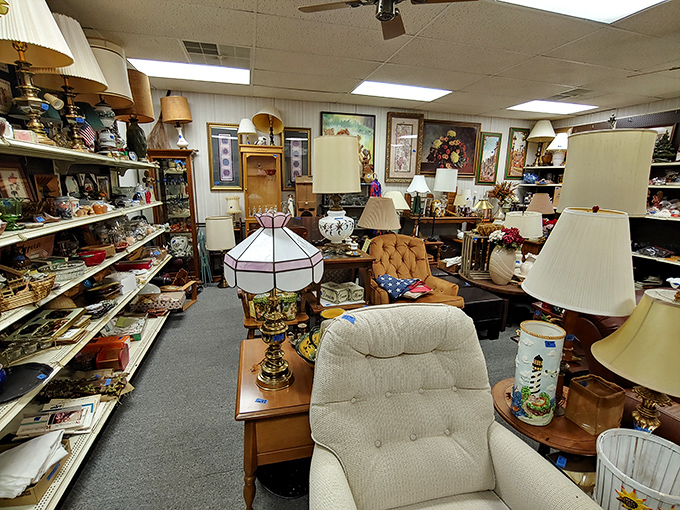 Lamp heaven! Where lighting fixtures from every decade gather to illuminate your imagination and possibly your living room.