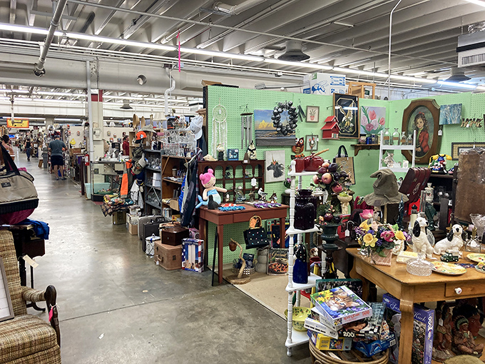 Endless aisles of possibility stretch before you. Each booth is its own universe of collectibles, curated by passionate vendors with stories to tell.