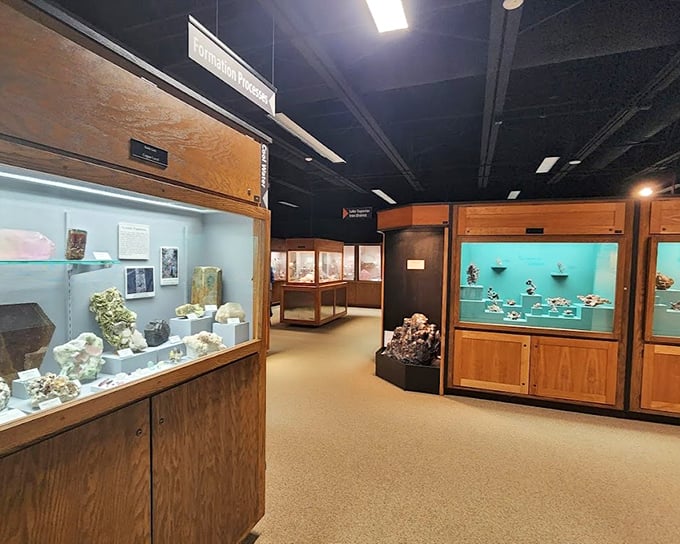 Walking through these displays feels like entering nature's jewelry box, with each carefully illuminated case revealing Earth's hidden treasures.