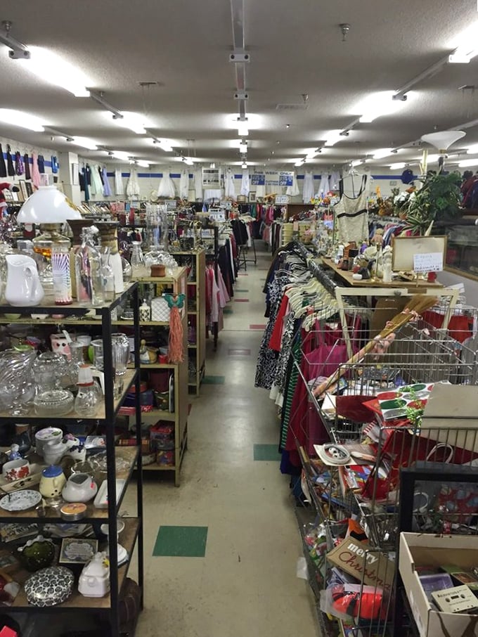 Treasure hunting begins here! Aisles stretch into infinity, promising discoveries that'll have you texting friends: "You won't believe what I just found!"