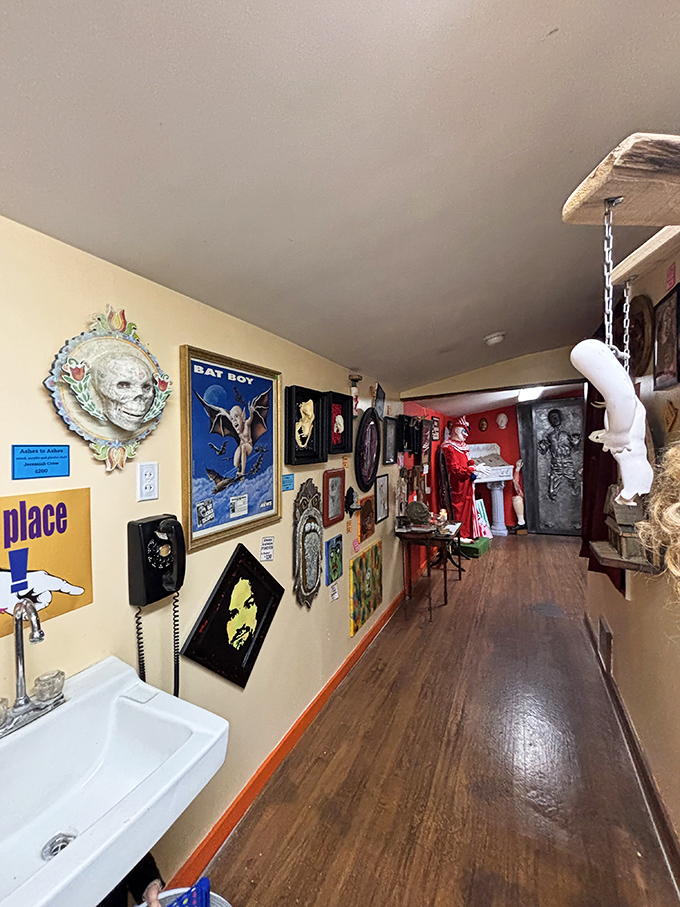 Step into a hallway where the walls tell stories stranger than fiction. Every inch is curated chaos, a testament to our fascination with the bizarre.
