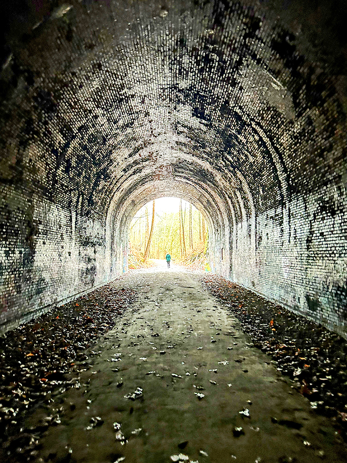 Light at the end of the tunnel isn't just a metaphor here—it's an invitation to step through history while wondering what lurks in the shadows.
