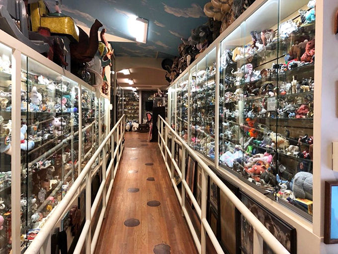 Floor-to-ceiling glass cases create mesmerizing corridors of elephant treasures spanning decades of passionate collecting.