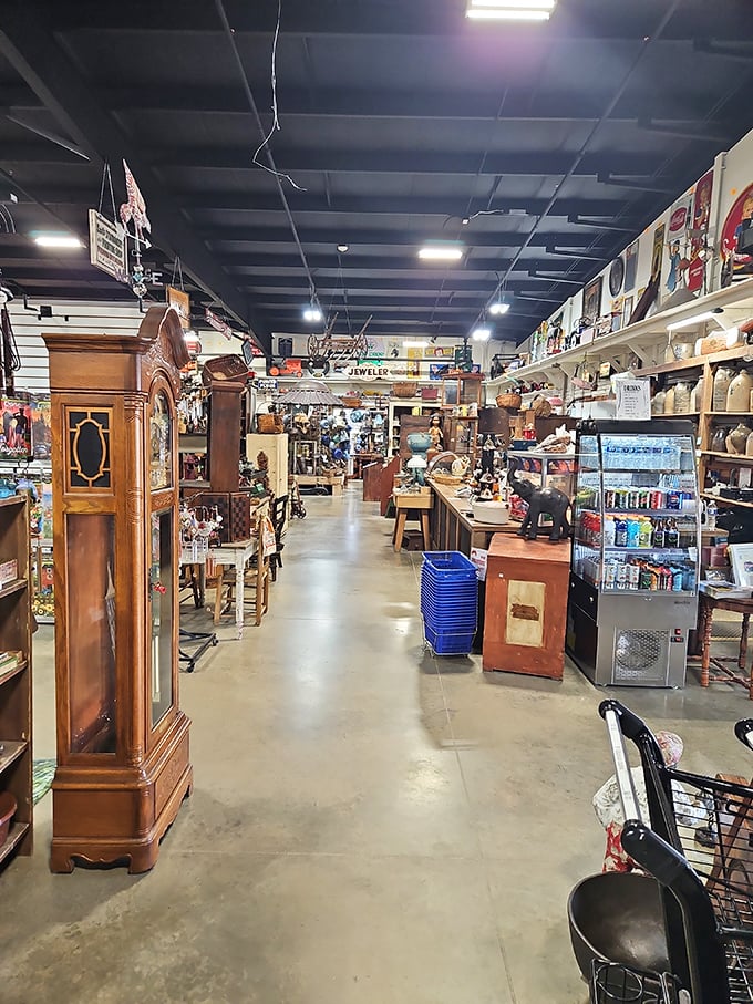 Aisle after aisle of possibility. This isn't shopping—it's time travel with price tags and polished wood cabinets.
