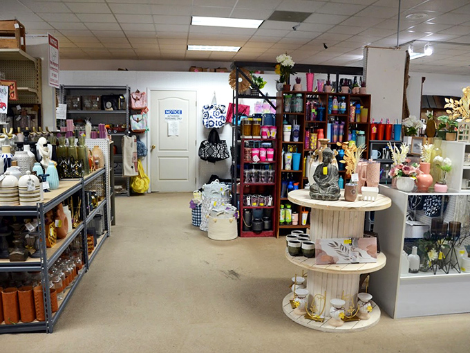 Aisles of possibility stretch before you. Each shelf holds someone's past waiting to become part of your future, arranged with the chaotic precision of a collector's mind.