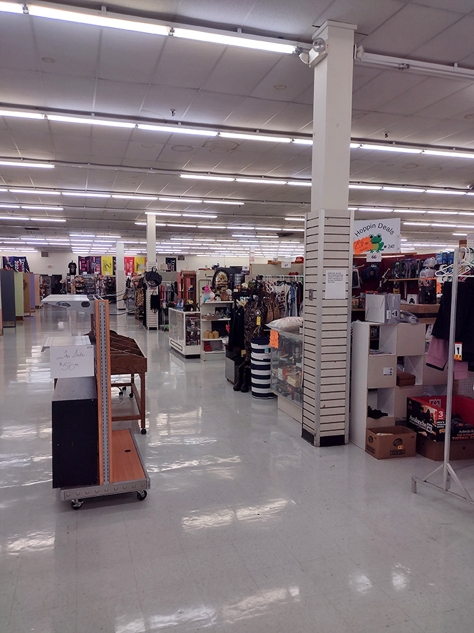 Aisles that stretch toward retail infinity. The fluorescent-lit expanse feels like the Library of Congress for people who prefer bargains to books.