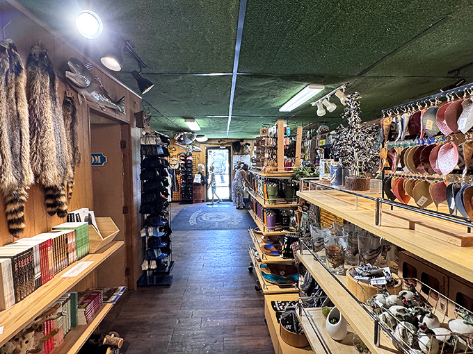 Step inside and enter a wonderland of the weird. The green ceiling and wooden shelves create an atmosphere that's part natural history museum, part your eccentric uncle's basement collection.Step inside and enter a wonderland of the weird. The green ceiling and wooden shelves create an atmosphere that's part natural history museum, part your eccentric uncle's basement collection.