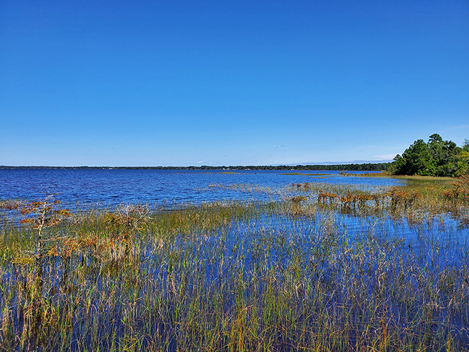 The lake's crystal-clear waters meet vibrant wetland grasses in a perfect harmony. Monet would've abandoned his water lilies for this view.