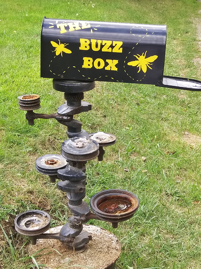 "The Buzz Box" isn't your average mailbox. When bills arrive looking this creative, you almost don't mind paying them. Almost.