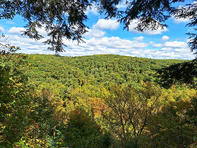 The rolling green canvas of Mohican Valley stretches to the horizon like nature's own masterpiece, with early autumn hints painting the edges.