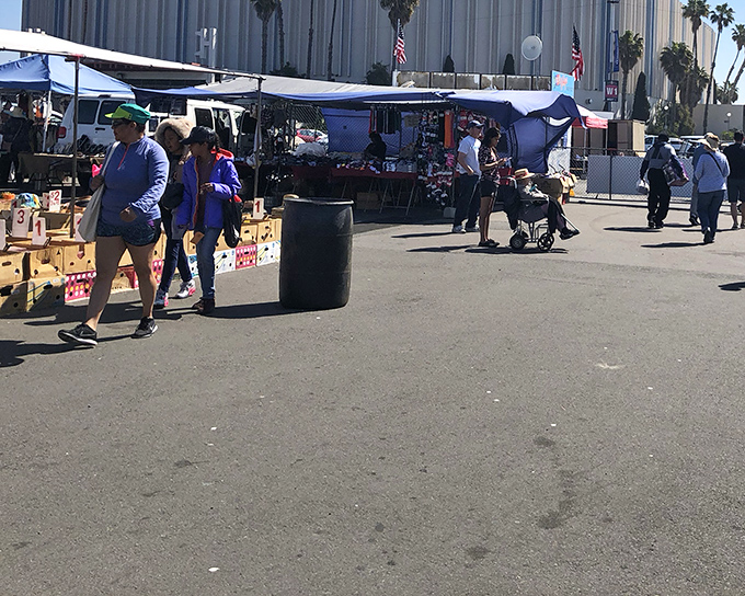 Morning shoppers navigate the wide aisles between vendors, where cardboard boxes hold mysteries priced at pocket change.
