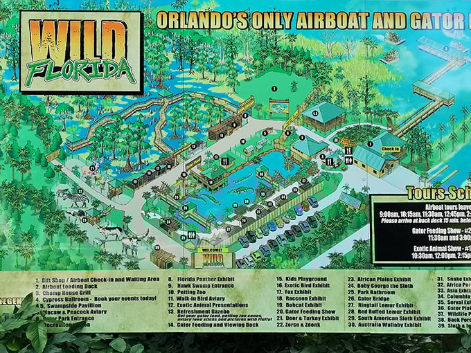 Navigation made easy! This colorful park map reveals the impressive scope of Wild Florida's attractions, from gator encounters to exotic animal exhibits.