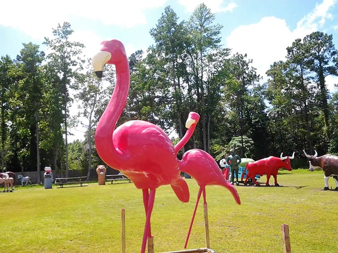 Pink flamingos stand tall against Carolina pines, their vibrant color practically shouting "Look at me!" Classic lawn ornaments elevated to roadside royalty.