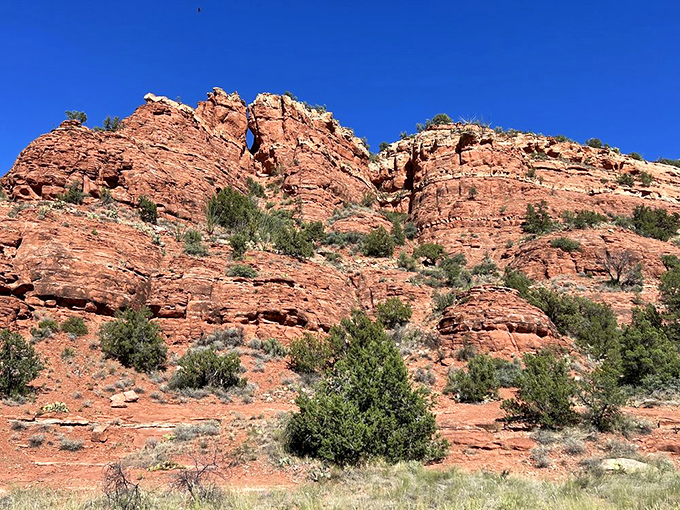 Layers of crimson history stand proudly against Sedona's impossibly blue sky, like geological lasagna that took millions of years to perfect.