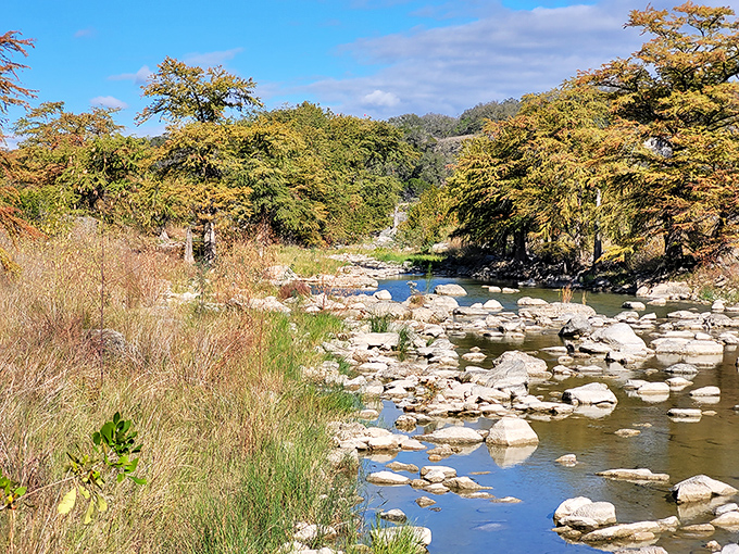 Texas-sized tranquility. The Pedernales River meanders through golden cypress trees, creating a scene that belongs on the cover of "Relaxation Monthly."