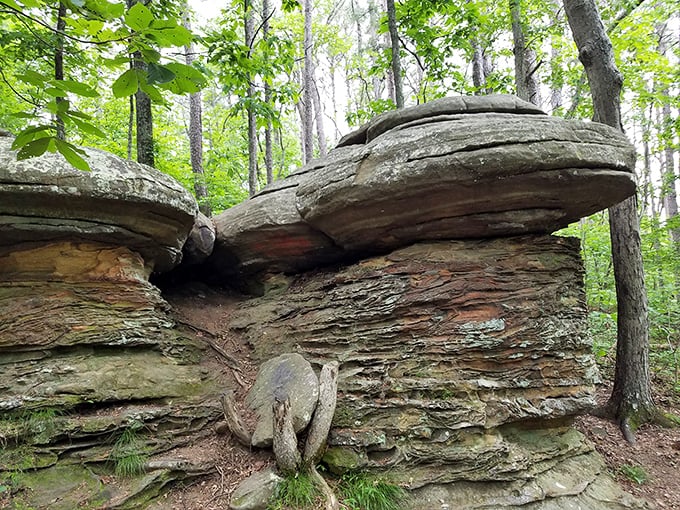Nature's balancing act on display. This sandstone formation has been defying gravity for millions of years while most of us struggle to stack dishes.