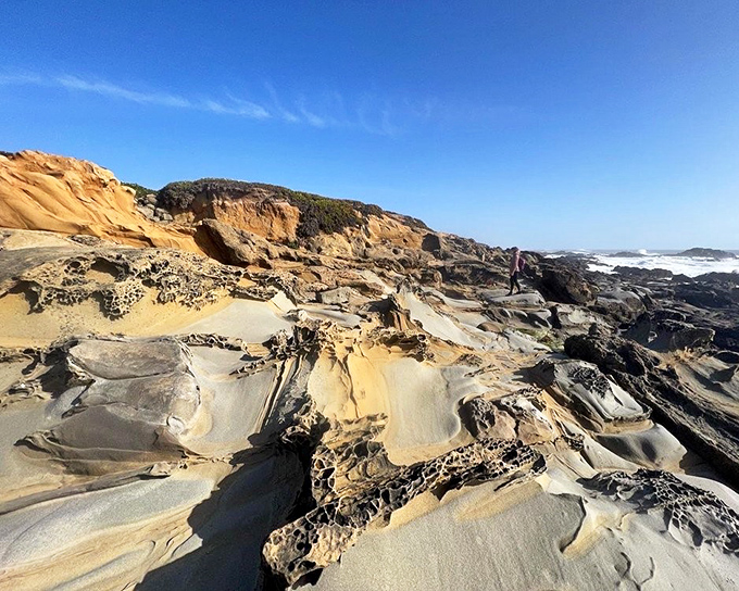 Swiss cheese has nothing on these honeycomb rocks. Nature's sculptors&mdash;wind, salt, and time&mdash;have created tafoni formations that would make any art gallery jealous.