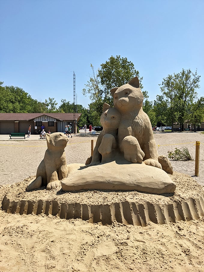 Sand artists transform ordinary grains into extraordinary feline families. Who knew Ohio had its own version of beach Michelangelos?