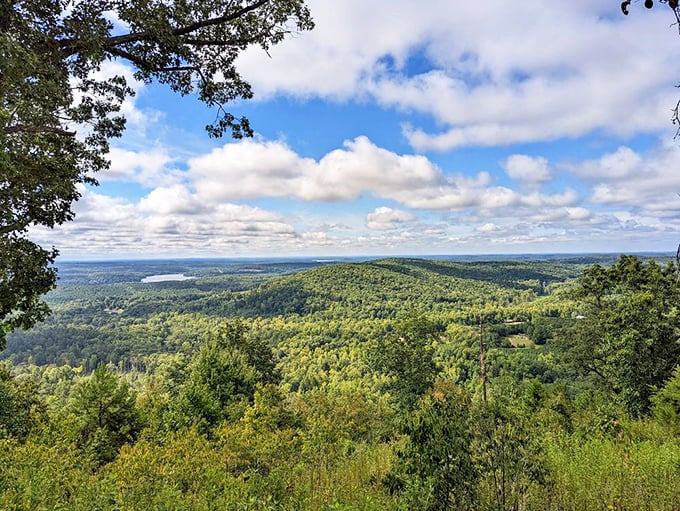 The reward for your climb: a panoramic vista where the Uwharrie Mountains unfold like rumpled green velvet beneath an endless Carolina sky.