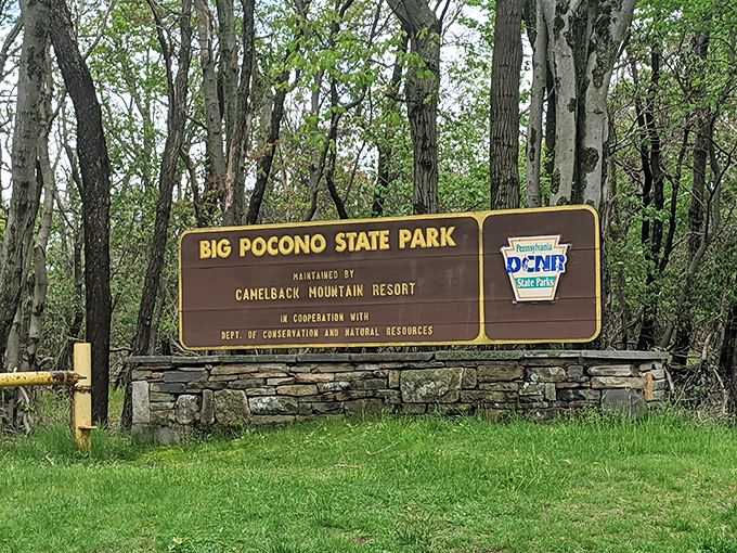 This understated entrance sign whispers rather than shouts &ndash; the best treasures often come in humble packages.