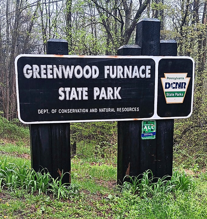 Sometimes the most magical adventures begin with the simplest of signs pointing the way forward.