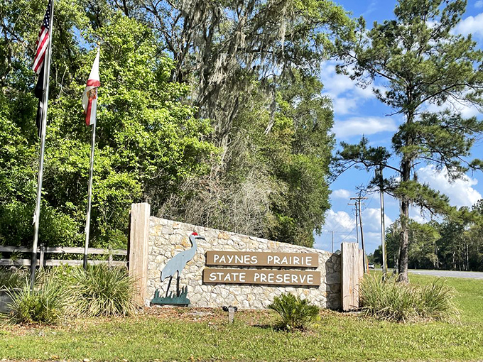 Welcome to nature's own theme park, where the admission price includes unforgettable wildlife encounters.