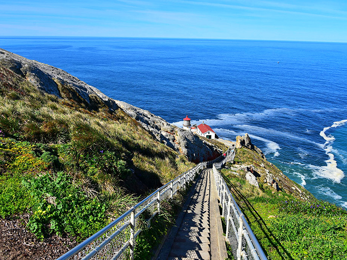 Nature's ultimate stairmaster! These zigzagging steps to Point Reyes Lighthouse offer the best views-per-calorie-burned ratio in all of California.