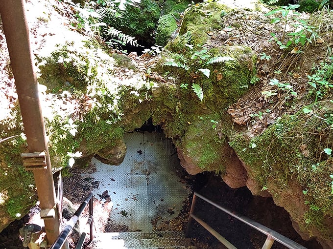 Nature's staircase to the underworld. The moss-covered entrance beckons visitors down to a viewing platform where Missouri's largest underground lake awaits.