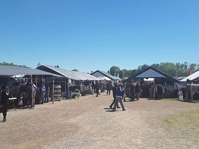 Pathways of possibility wind through permanent stalls, where weekend warriors and professional pickers alike hunt for that perfect find.