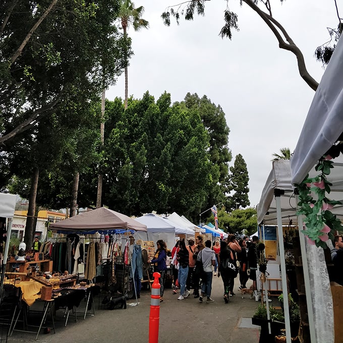 Where shoppers become explorers and every aisle promises discovery. The market's winding paths are like choose-your-own-adventure books for grown-ups.