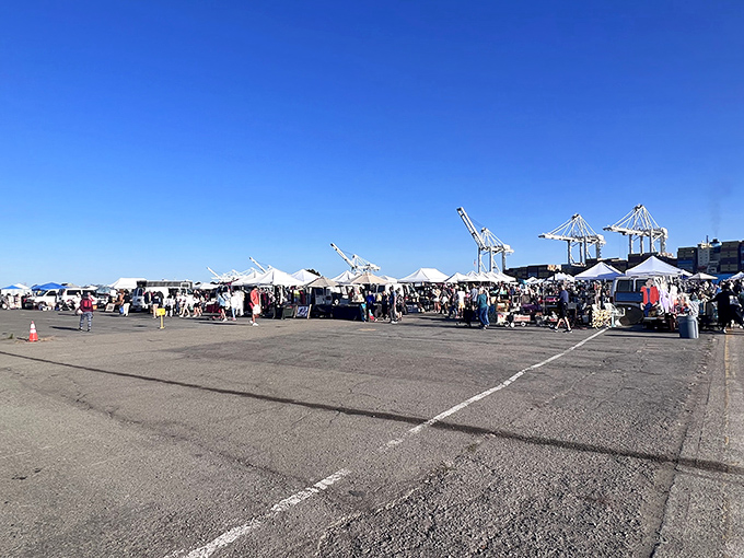 Where runway meets runaway prices! The former Naval Air Station transforms into a bargain hunter's playground stretching as far as the eye can see.