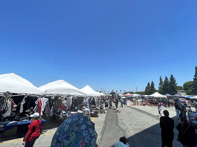 Under the California sun, white canopy tents create a makeshift marketplace where treasures await those willing to explore.