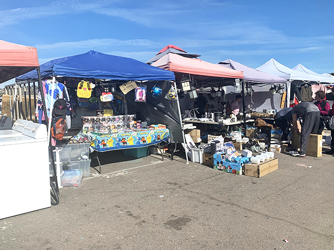 Blue canopies create an oasis of shade where everyday items transform into must-have treasures. The thrill of discovery awaits!