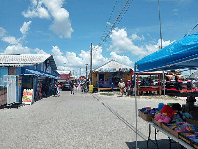 A slice of authentic market life where colorful stalls stretch as far as the eye can see, each one promising its own unique discoveries.