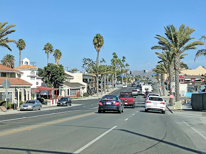 Palm-lined streets of Dana Point invite leisurely exploration, where Mediterranean architecture meets California sunshine in a perfect coastal symphony.