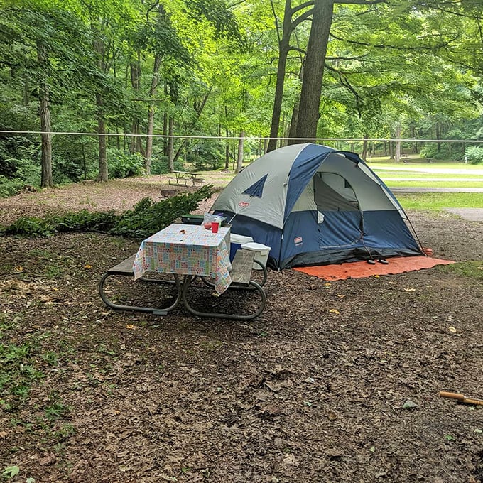 Home sweet temporary home! This cozy campsite proves you don't need five-star accommodations when you've got a million stars overhead.