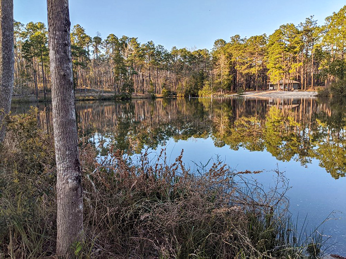 Mirror, mirror on the pond&mdash;this glassy lake reflects towering pines like Nature's own Instagram filter, no hashtags required.